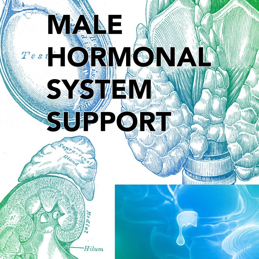 Male Hormonal System Support Biofield Tuning Recorded Sound - Etsy