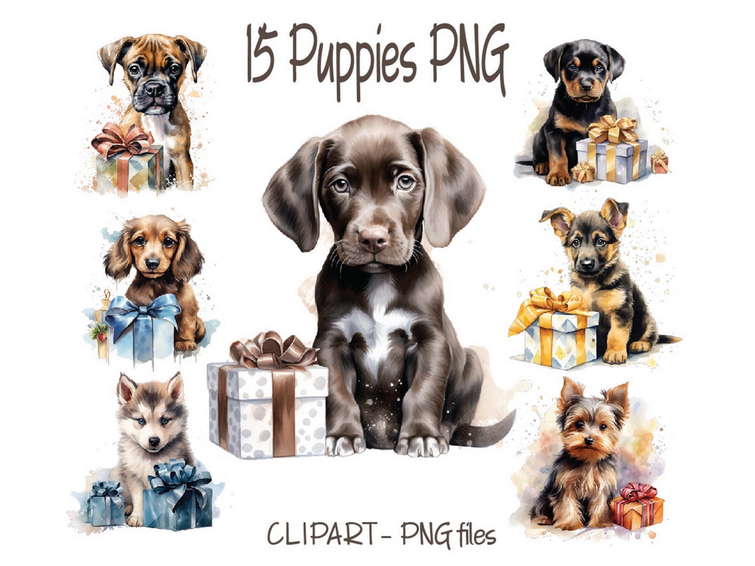 15 Puppy Clipart, Dog PNG, Gift Clipart, Puppies PNG, Cute Dog Clipart ...