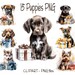 15 Puppy Clipart Dog PNG Gift Clipart Puppies PNG Cute Dog - Etsy