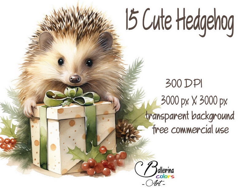 15 Christmas Hedgehog Clipart, Merry Christmas, Christmas Card ...