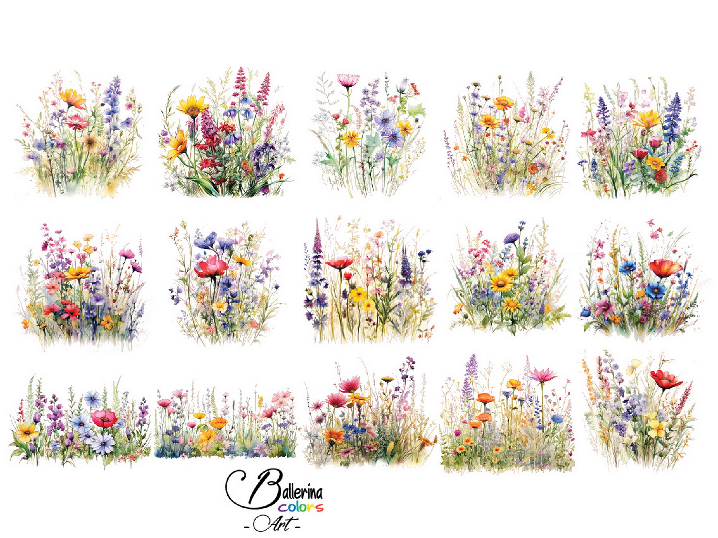 15 Watercolour Wildflowers PNG Wildflower Clipart Floral - Etsy