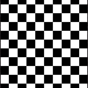 Checkered Area Rug, Checkered Checks Rug for Living Room, Non Slip ...