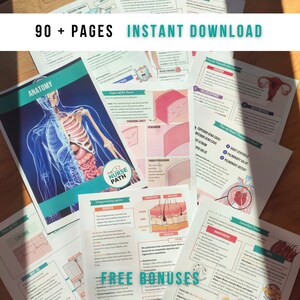 Ultimate Anatomy and Physiology 60 Pages Anatomy Study Guide Anatomy ...