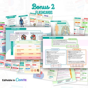 Ultimate Anatomy and Physiology 60 Pages Anatomy Study Guide Anatomy ...