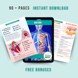 Ultimate Anatomy and Physiology 60 Pages Anatomy Study Guide Anatomy ...