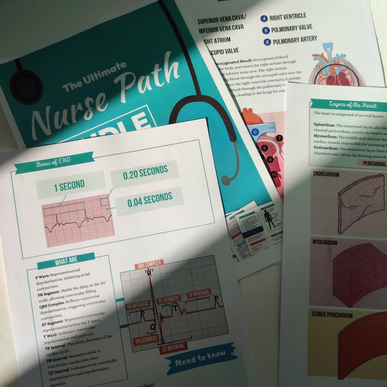 EKG Interpretation Study Guide, EKG Arrhythmias, ECG, Nursing Student ...