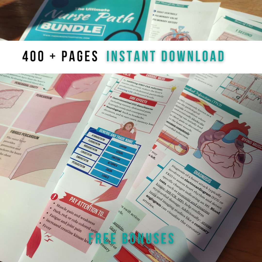 The Ultimate Nurse Bundle, 400 Pages, Nursing Study Guide, Nurse Notes ...