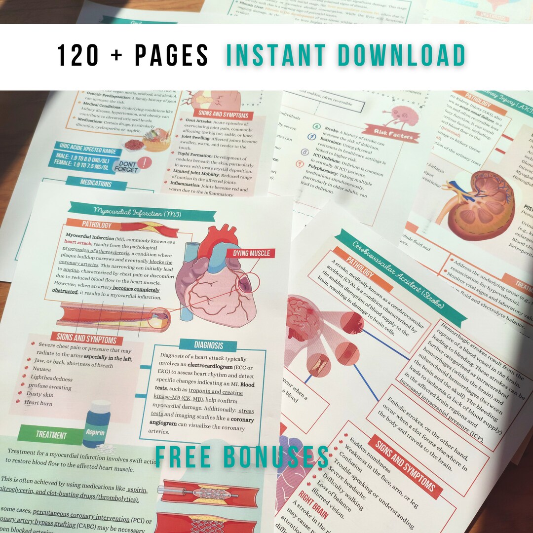 Med-surgery Basics Bundle, Nursing Study Guide, 120 Pages, Notes for ...