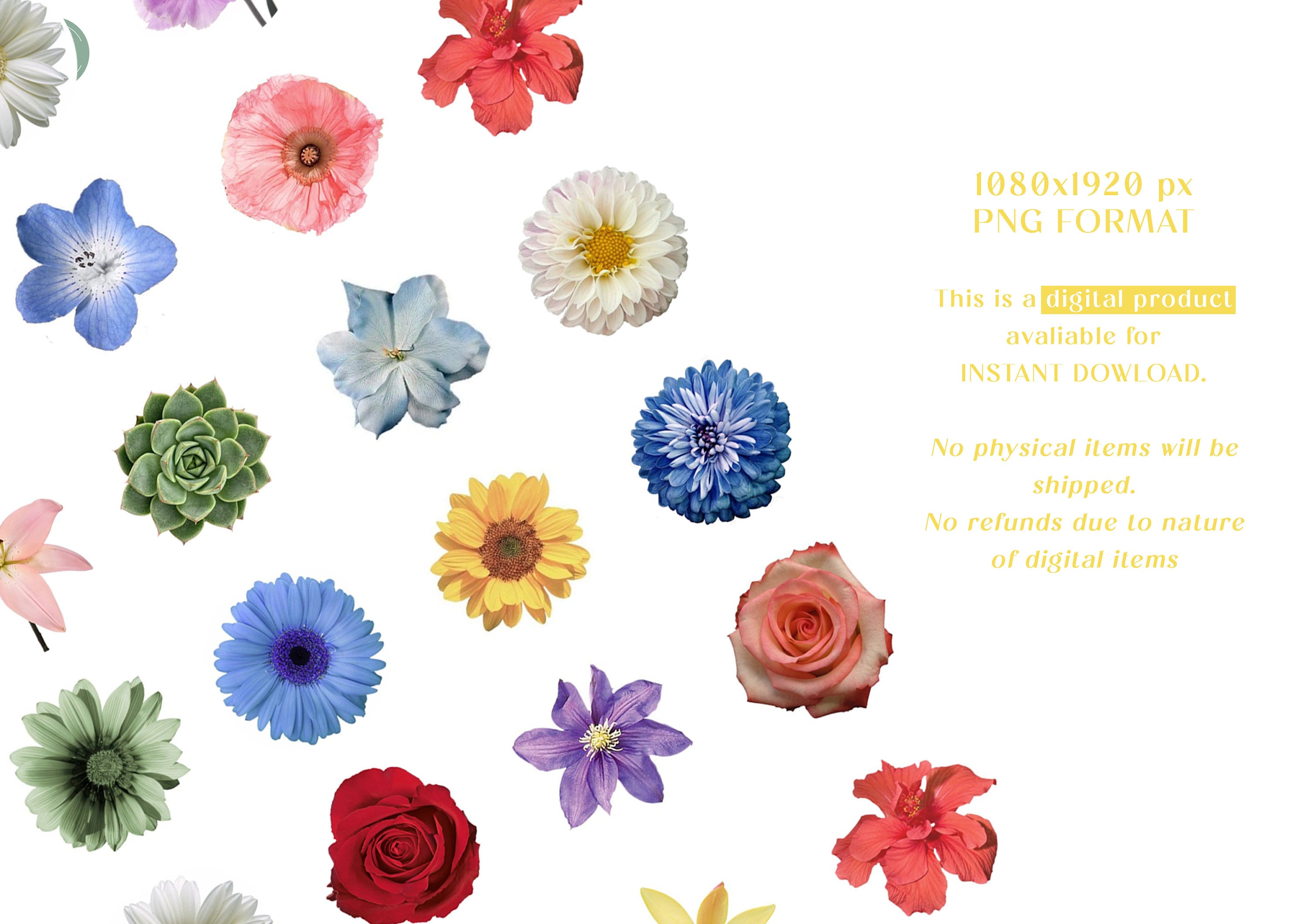 20 Aesthetic Flower Instagram Highlight Cover Icons, Flower Covers, IG ...