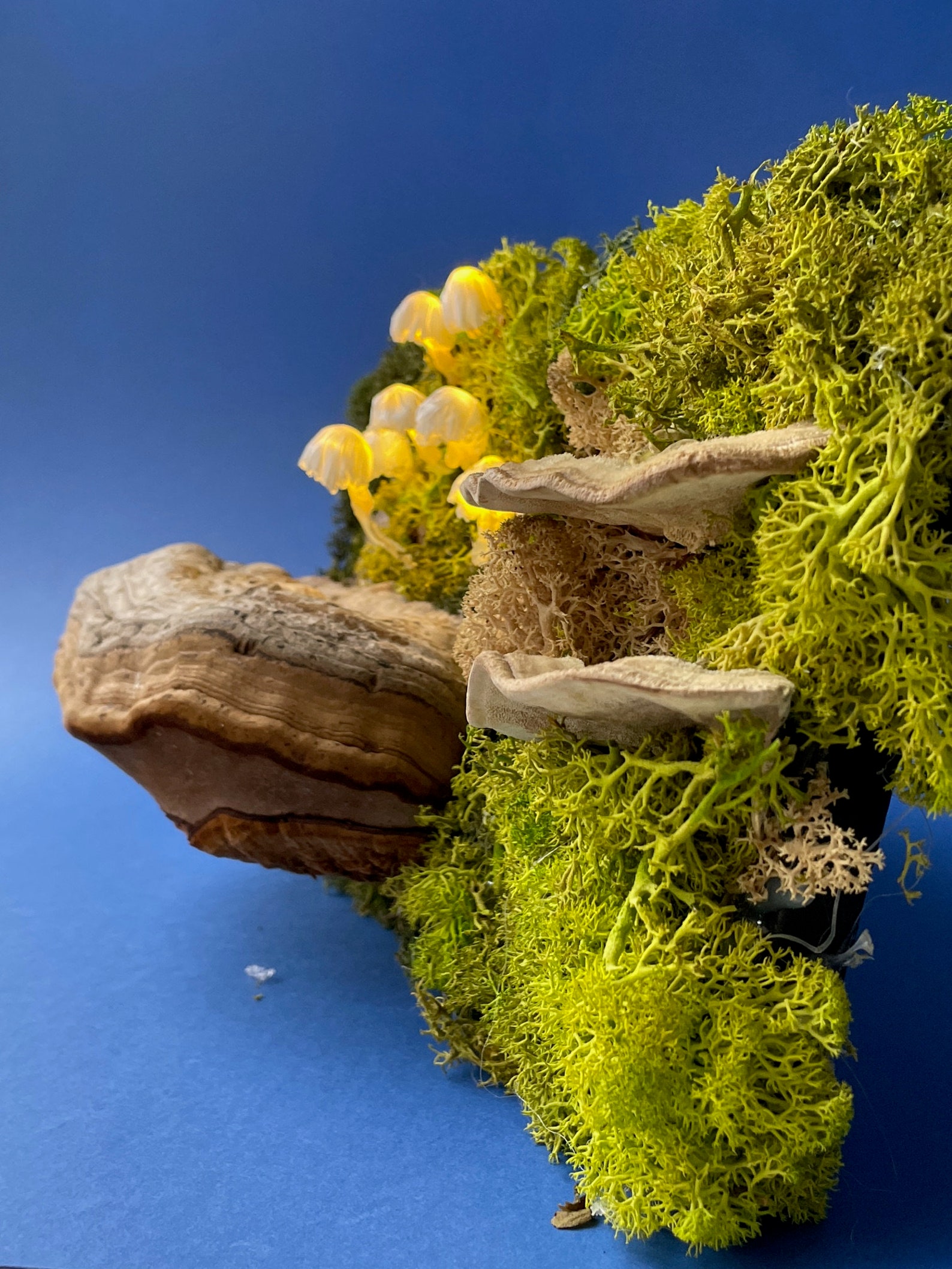 Forest Lamp With LED Glowing Mushrooms - Etsy