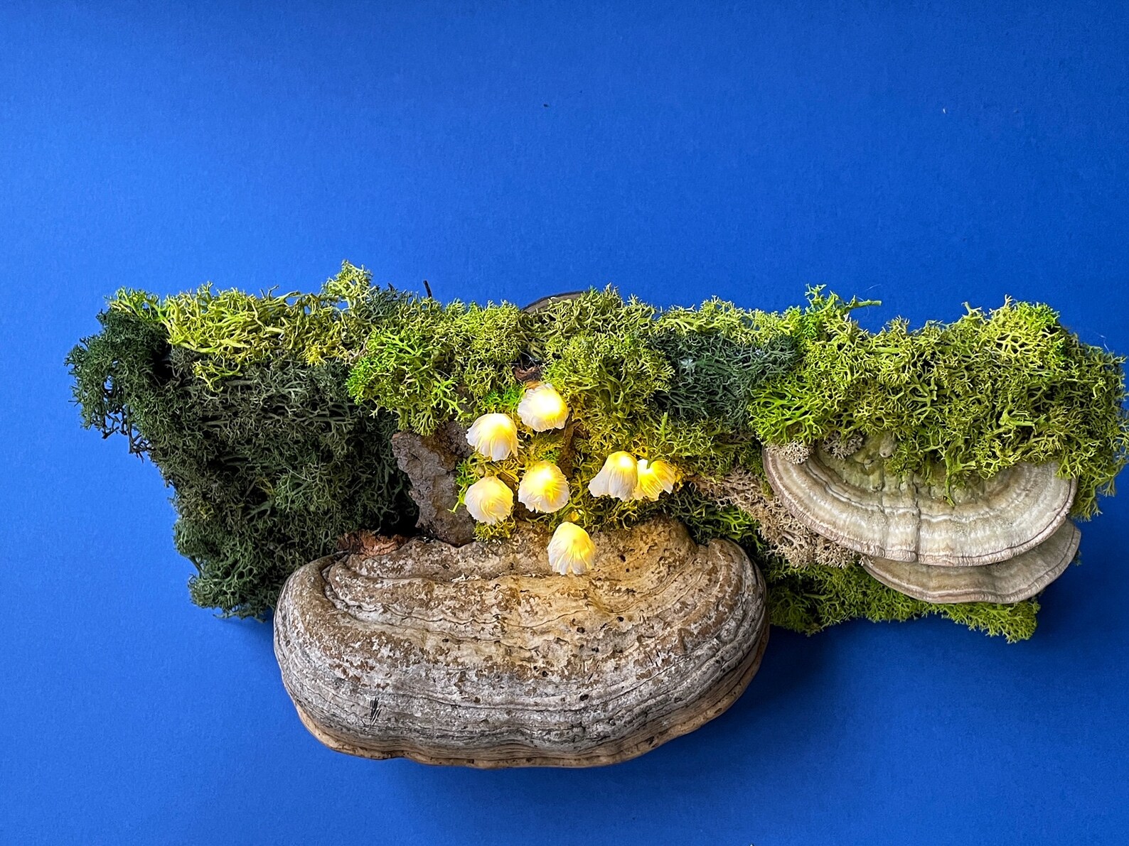 Forest Lamp With LED Glowing Mushrooms - Etsy