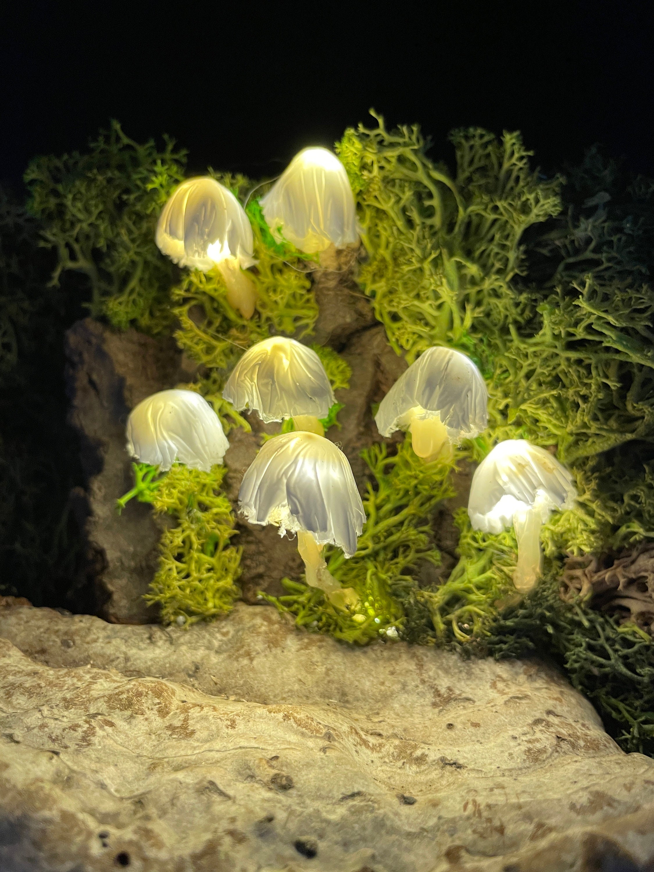 Forest Lamp With LED Glowing Mushrooms - Etsy