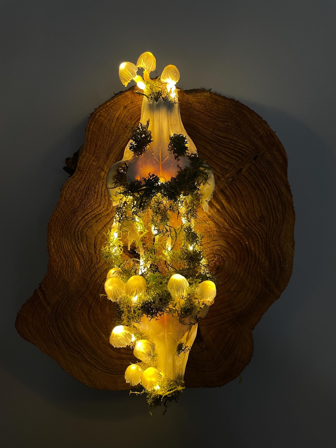 Forest Lamp With LED Glowing Mushrooms - Etsy