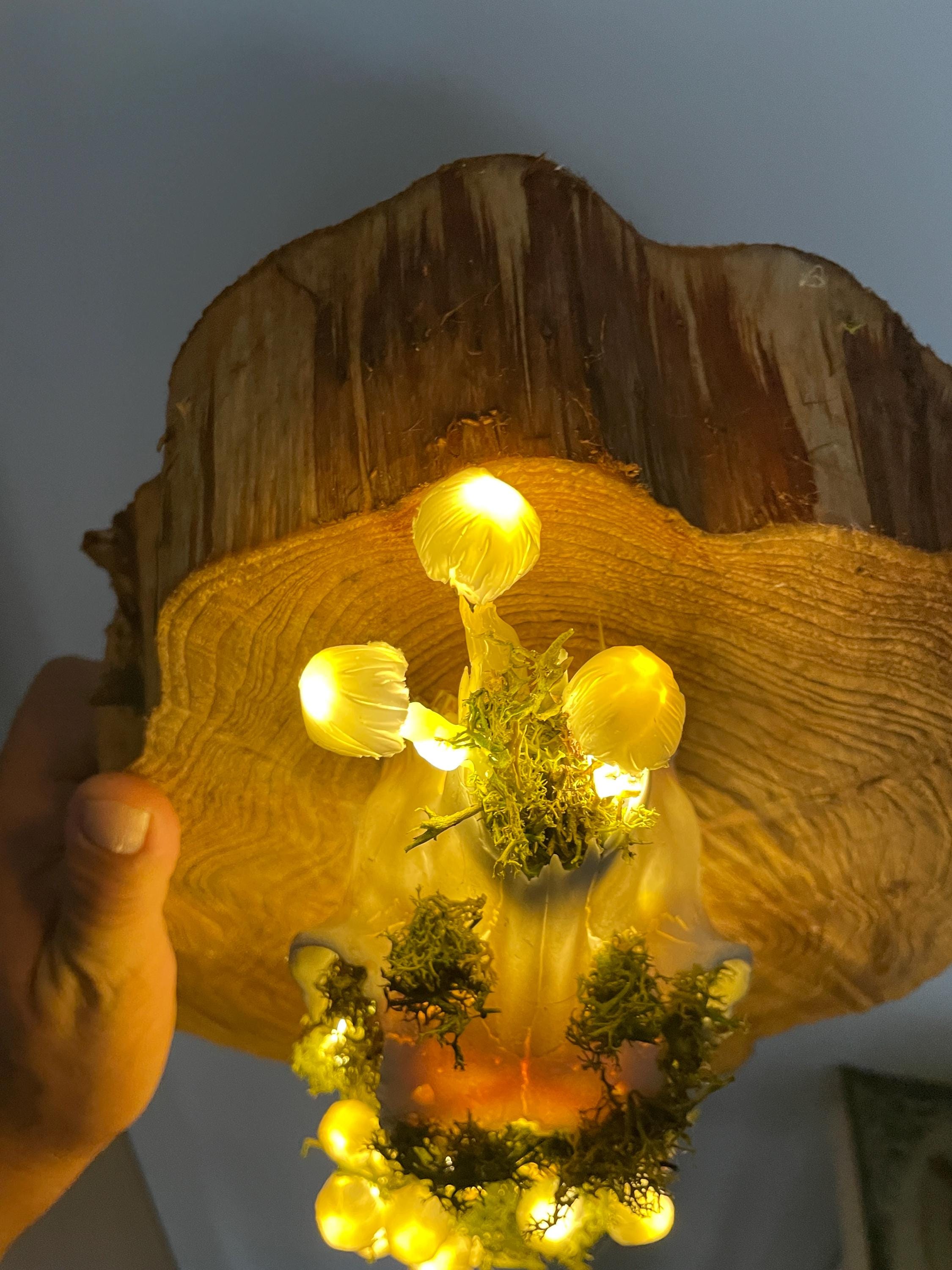 Forest Lamp With LED Glowing Mushrooms - Etsy