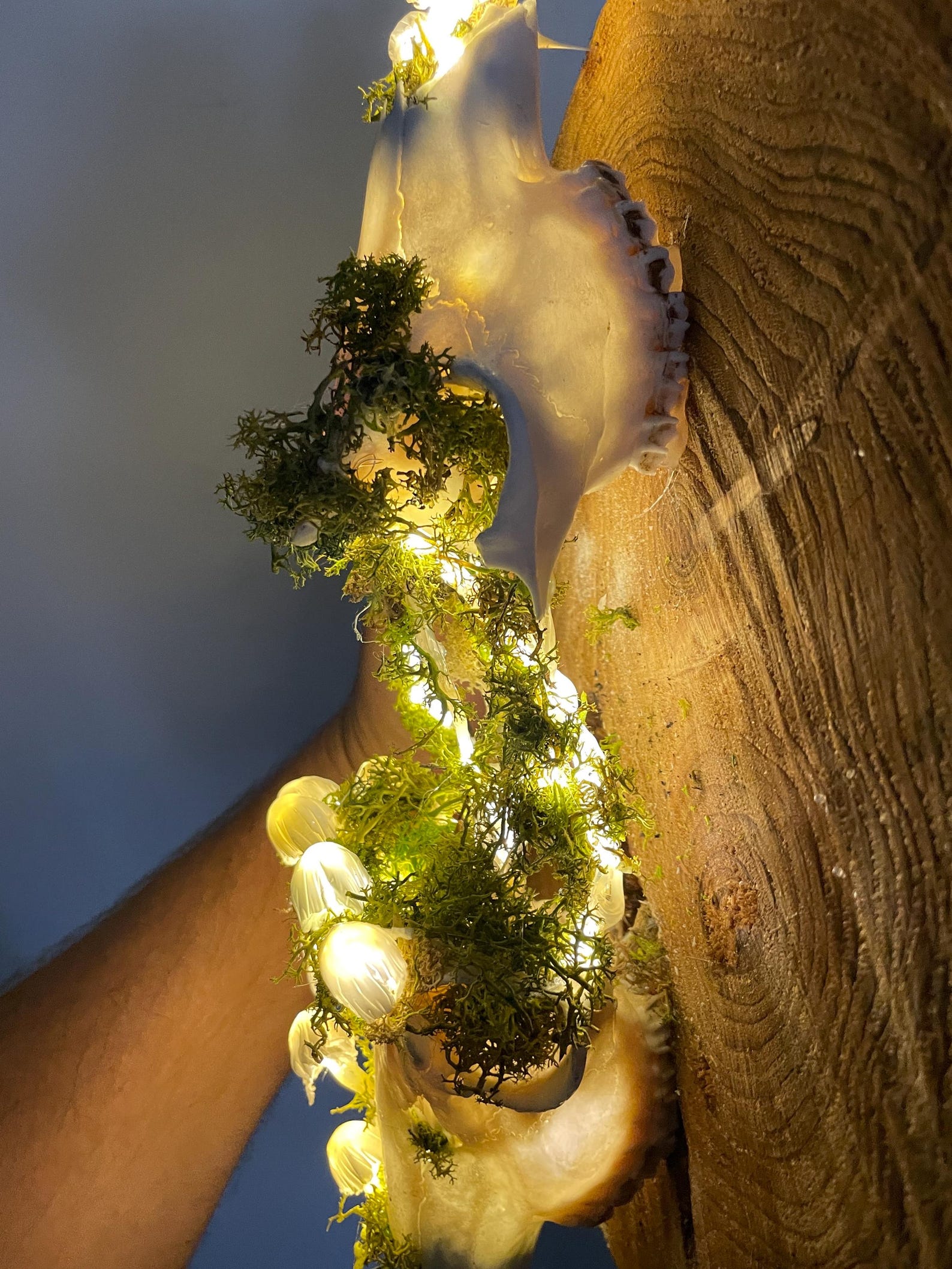Forest Lamp With LED Glowing Mushrooms - Etsy
