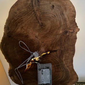 Forest Lamp With LED Glowing Mushrooms - Etsy