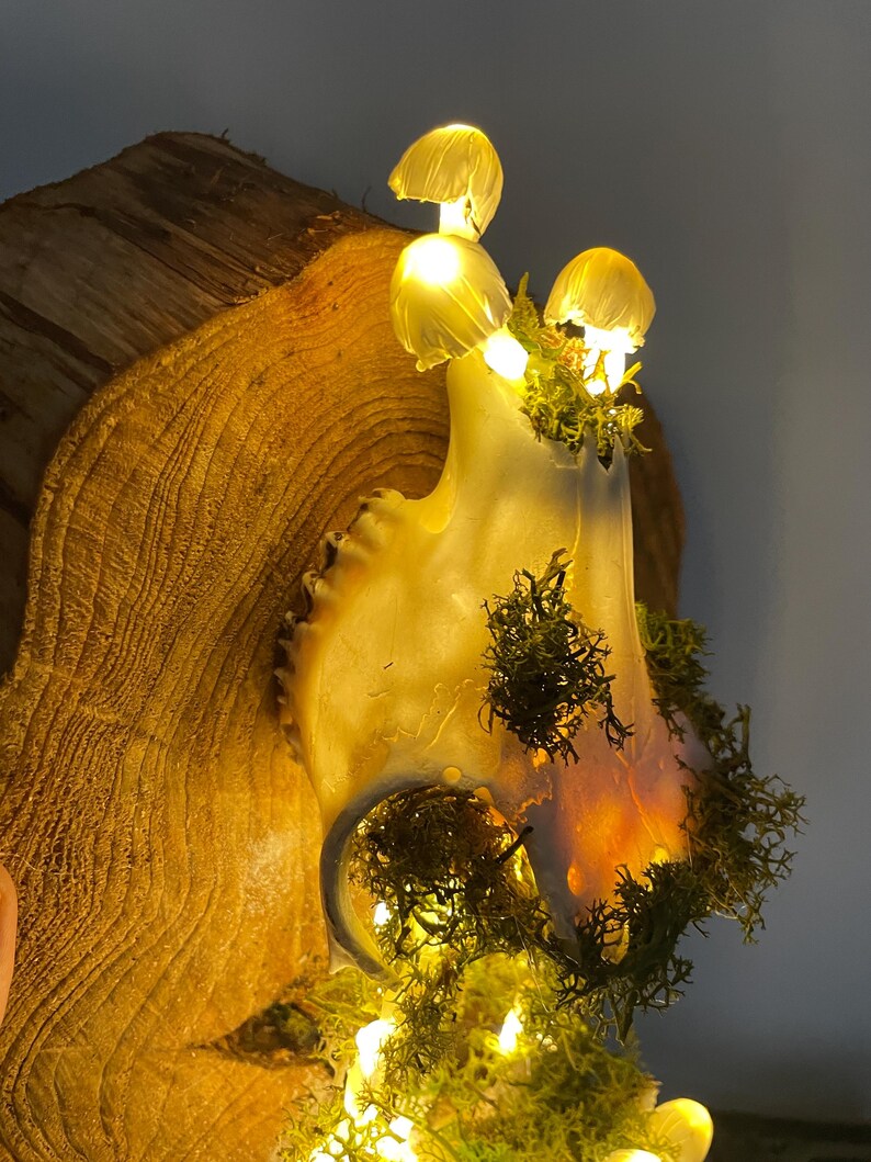 Forest Lamp With LED Glowing Mushrooms - Etsy