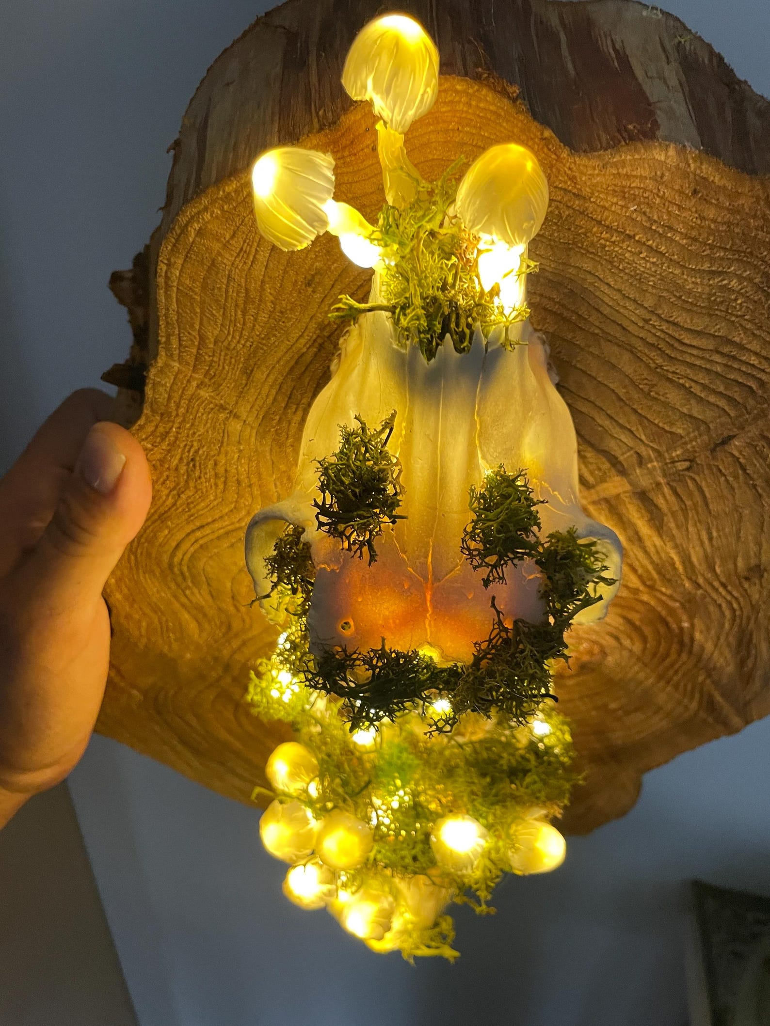 Forest Lamp With LED Glowing Mushrooms - Etsy
