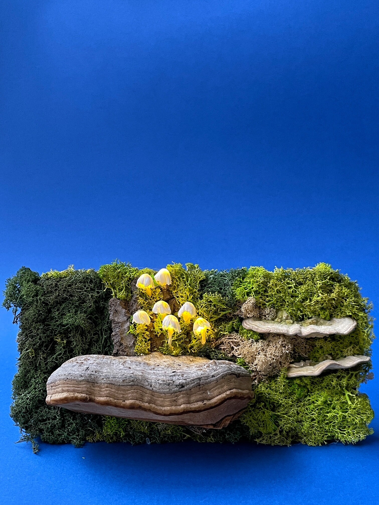 Forest Lamp With LED Glowing Mushrooms - Etsy