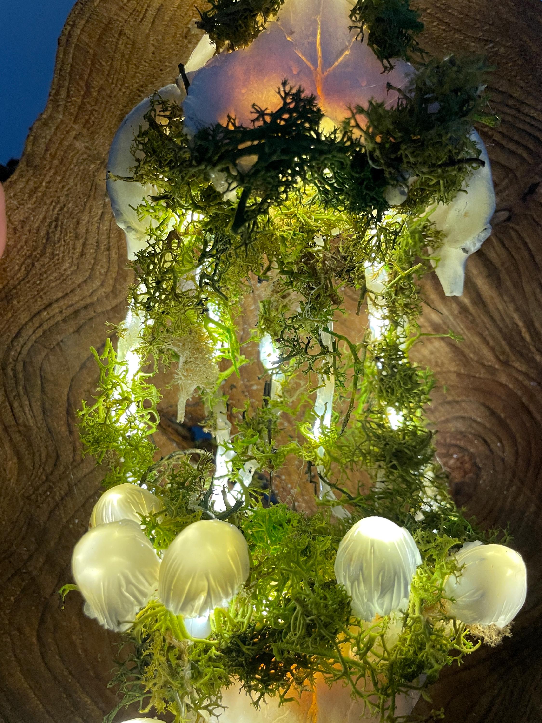 Forest Lamp With LED Glowing Mushrooms - Etsy