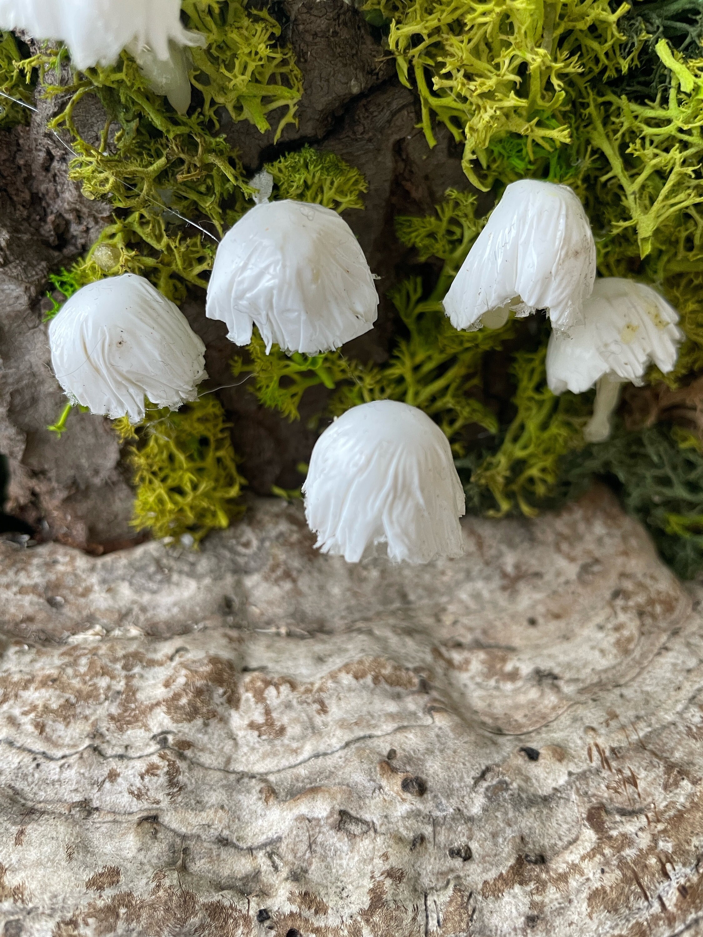 Forest Lamp With LED Glowing Mushrooms - Etsy