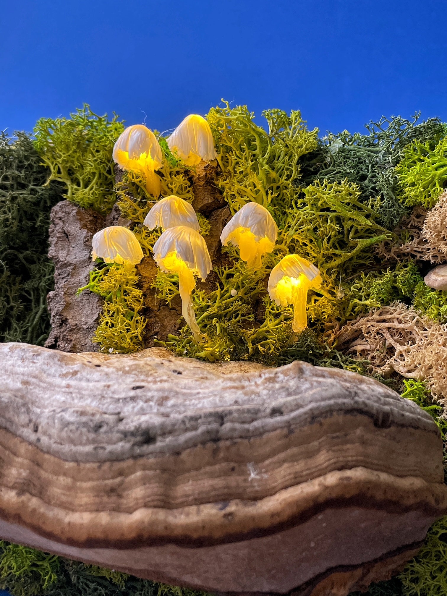 Forest Lamp With LED Glowing Mushrooms - Etsy