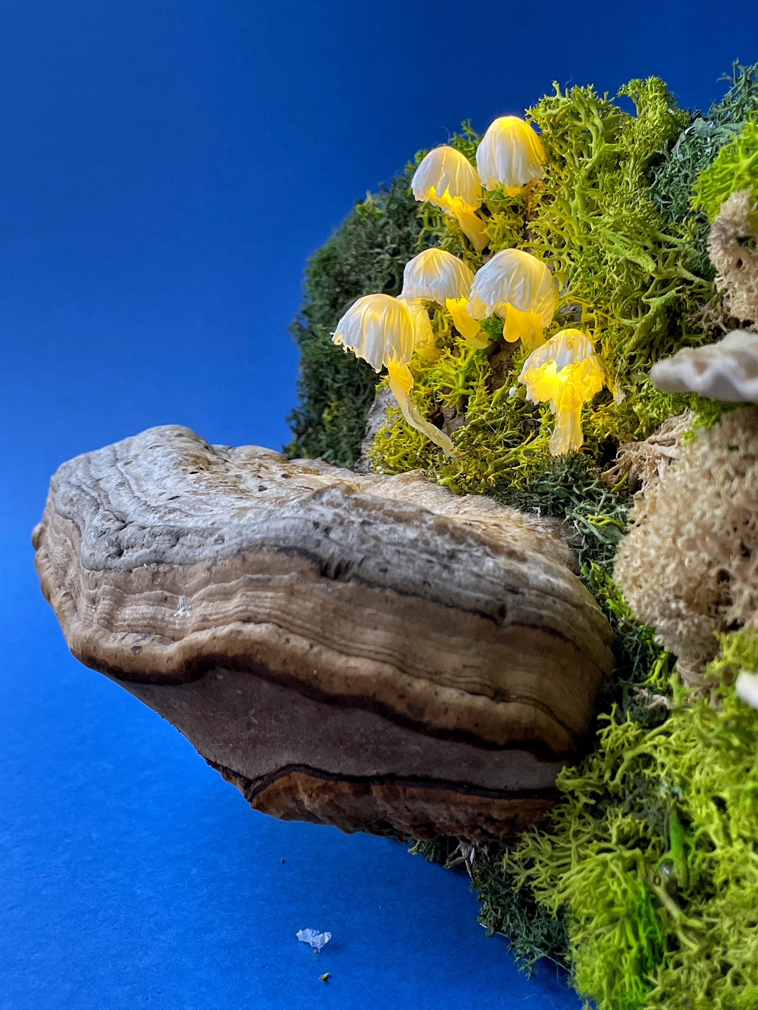 Forest Lamp With LED Glowing Mushrooms - Etsy