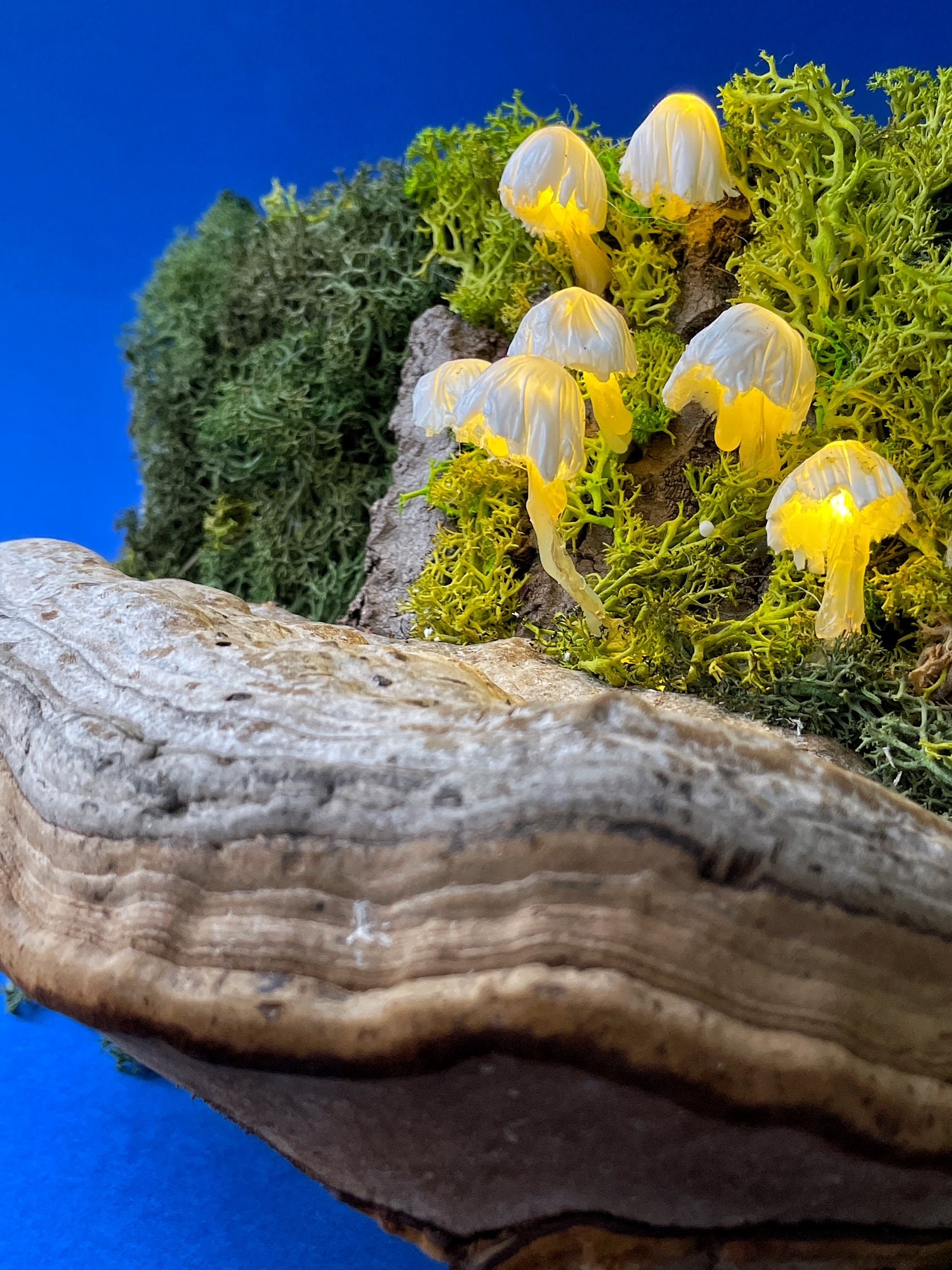 Forest Lamp With LED Glowing Mushrooms - Etsy