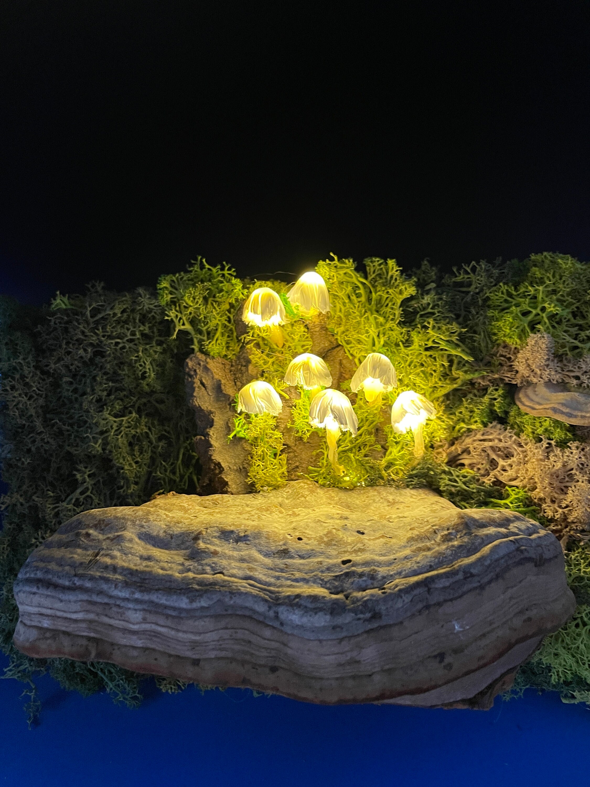 Forest Lamp With LED Glowing Mushrooms - Etsy