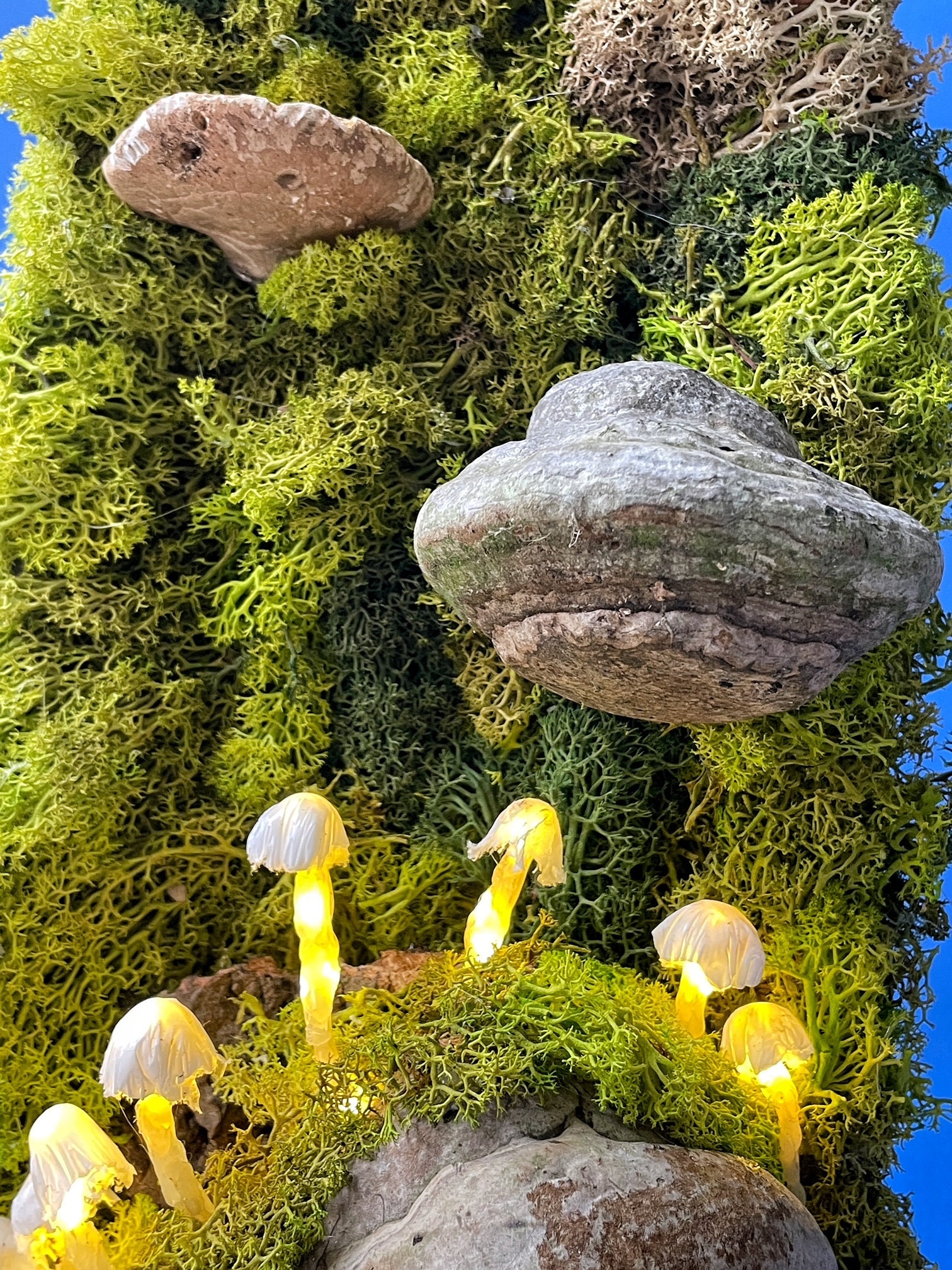 Forest Lamp With LED Glowing Mushrooms - Etsy