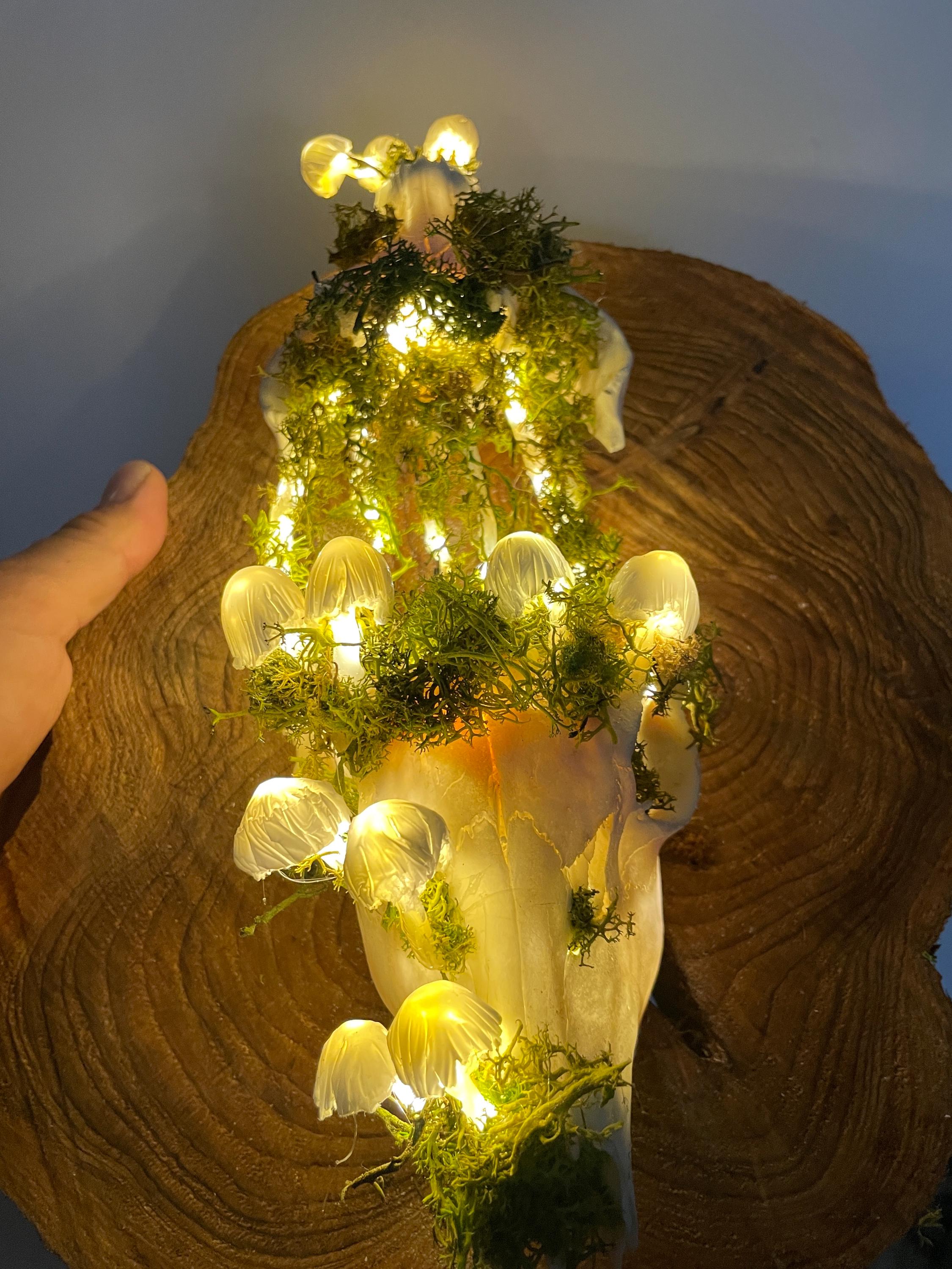 Forest Lamp With LED Glowing Mushrooms - Etsy