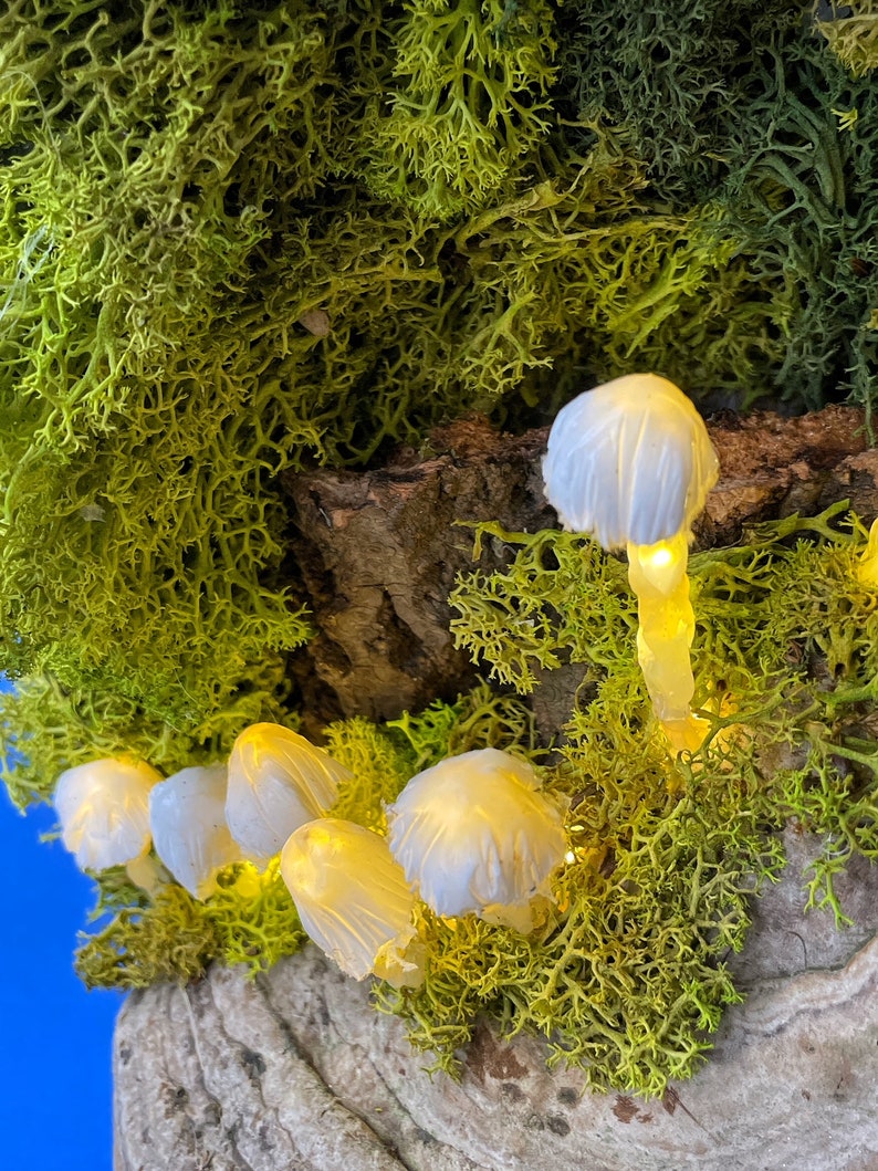 Forest Lamp With LED Glowing Mushrooms - Etsy