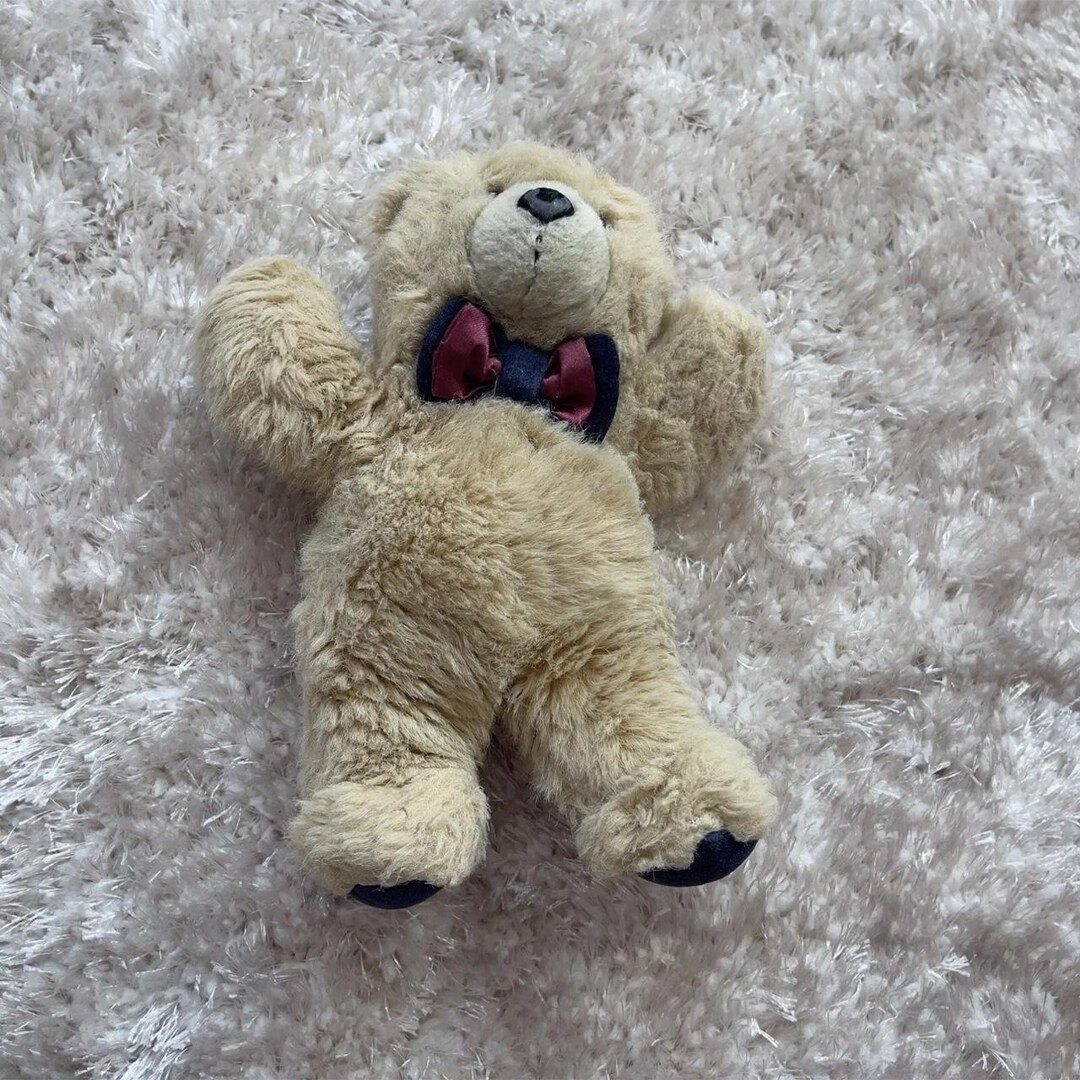 Used Vintage 1999 Small TCC Continuity Holdings Brown Teddy Bear Soft ...