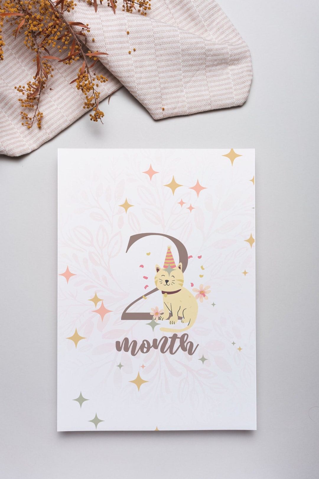 Baby Monthly Milestones Printable Card Baby Shower Gift - Etsy