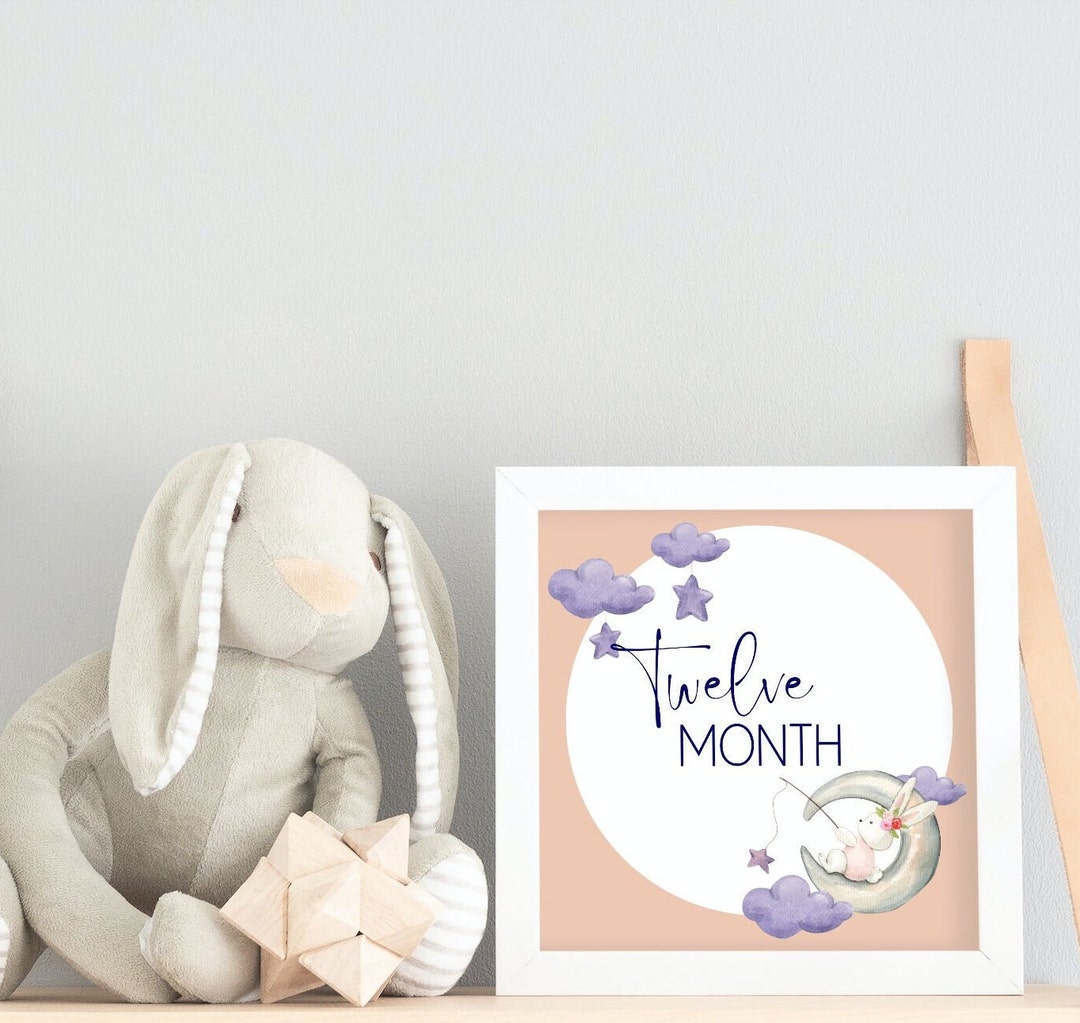 Baby Monthly Milestone Card Printable, Rainbow, Elephant, Hot Air ...