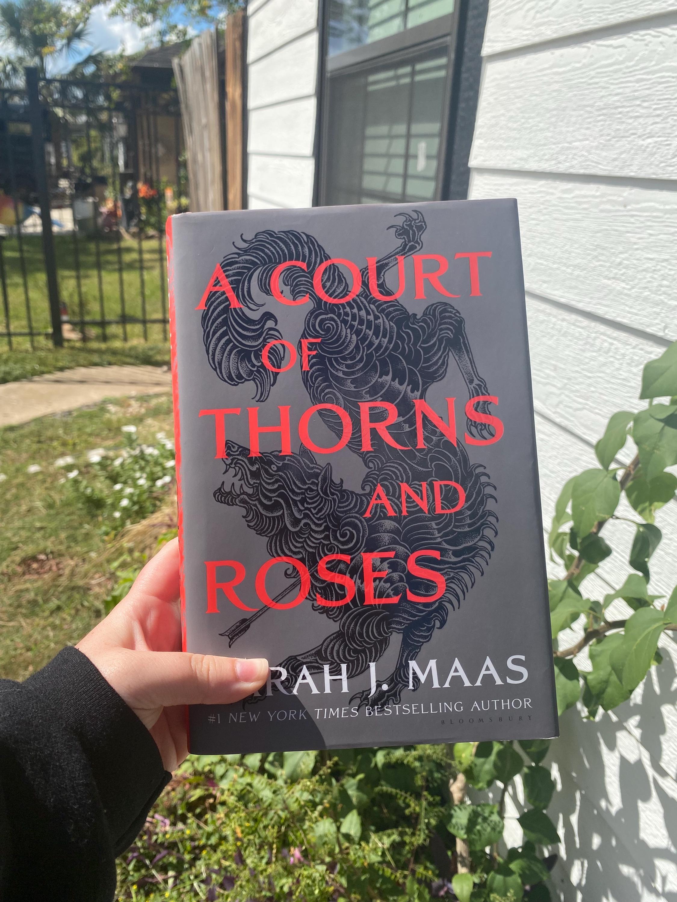A Court of Thorns and Roses Fore Edge Painting - Etsy