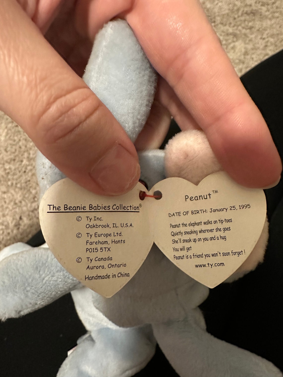 Peanut the Elephant Beanie Baby 1995 With Tag Errors - Etsy