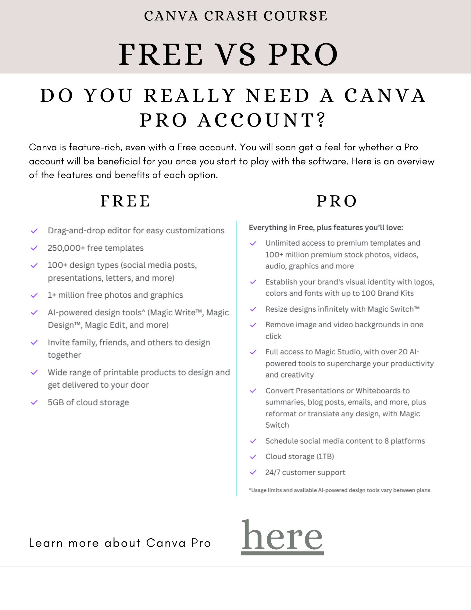 Canva Crash Course PLR Guide - Digital Product, Resell Rights, Passive ...