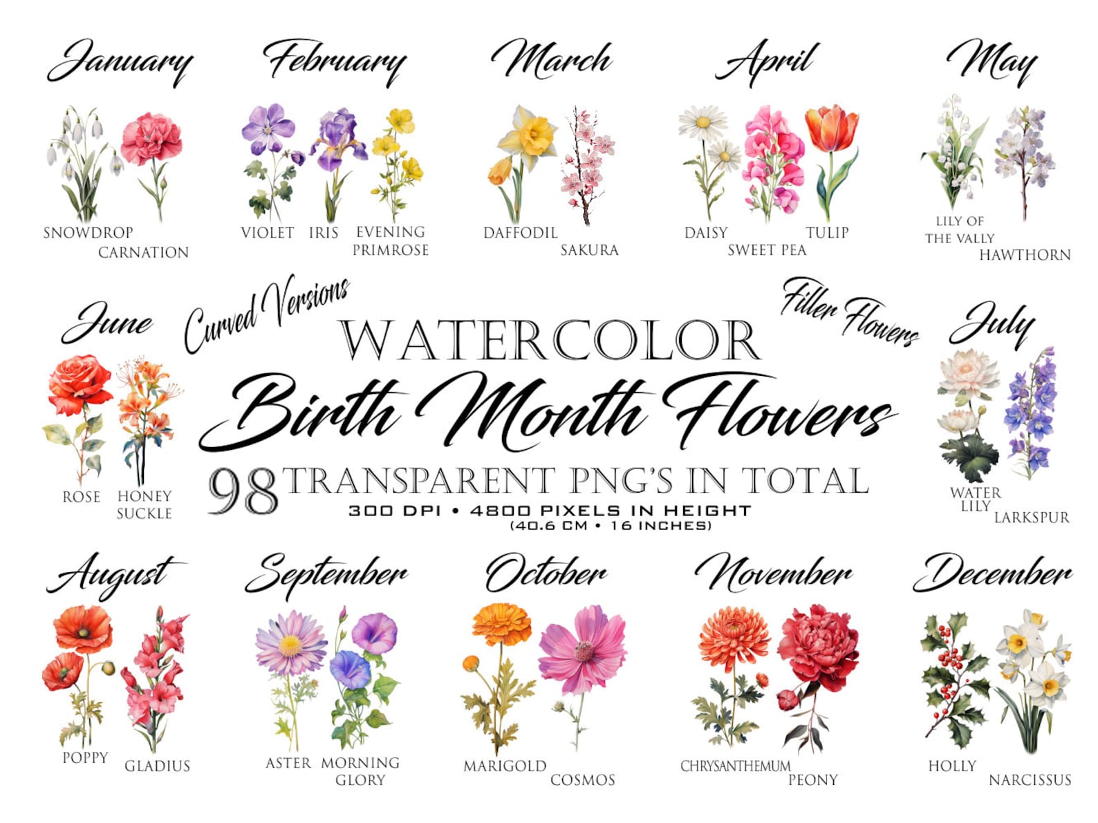 Watercolor Birth Month Flowers Clipart Bundle Transparent PNG, DIY Card ...