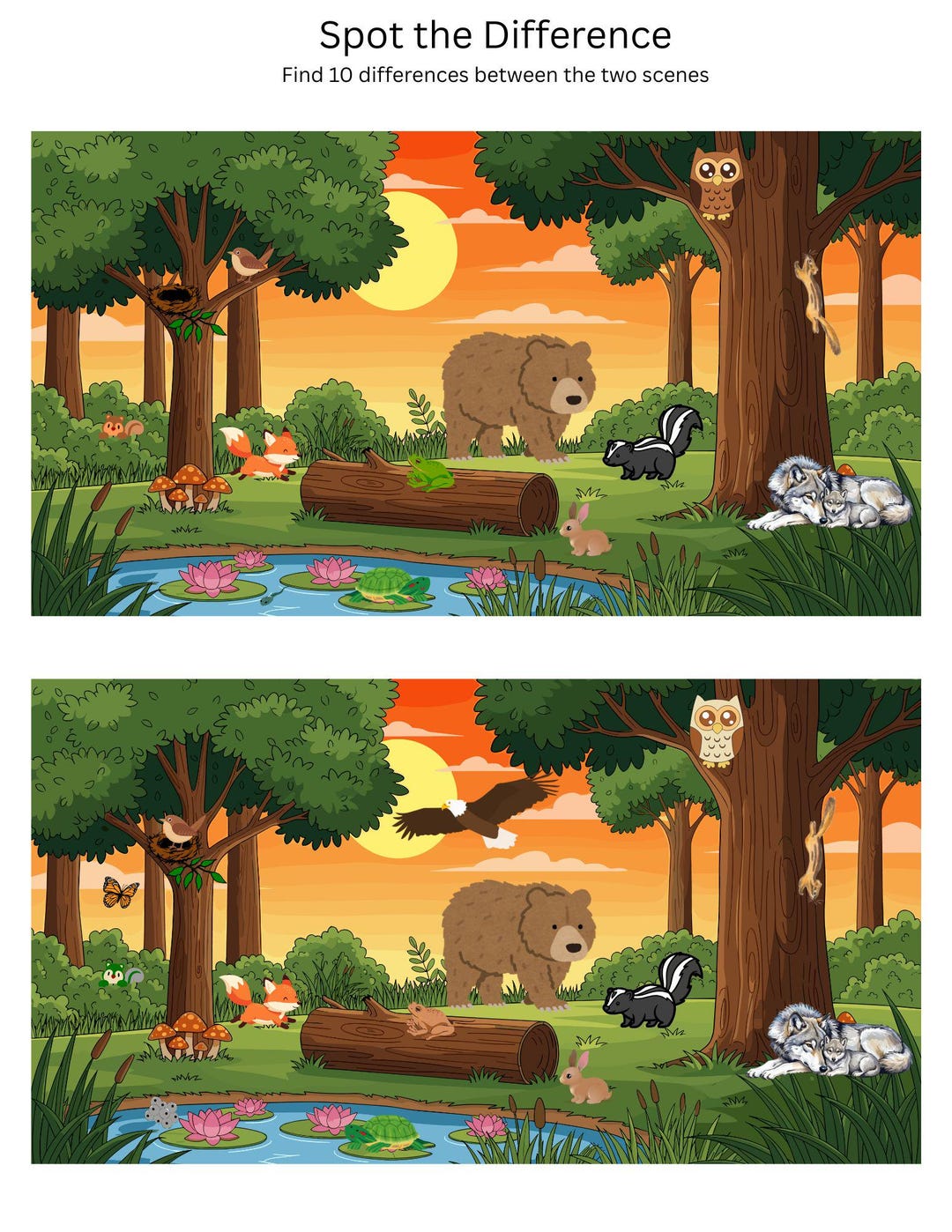 Spot the Difference- Kid's Activity Sheet - Animals, Forest - Etsy