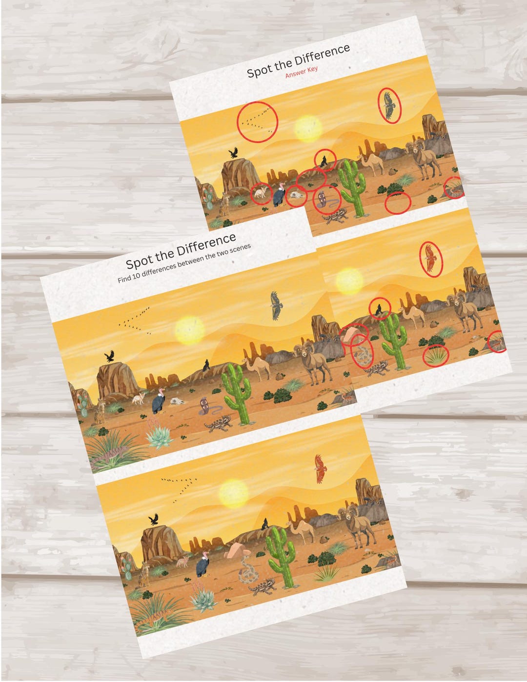 Spot the Difference- Kid's Activity Sheet - Desert Scene, Find the ...