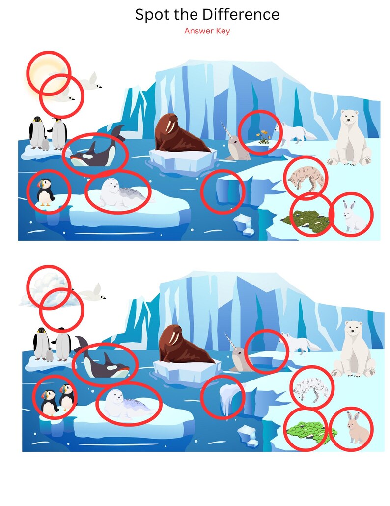 Spot the Difference- Kid's Activity Sheet - Arctic Animals, Find the ...