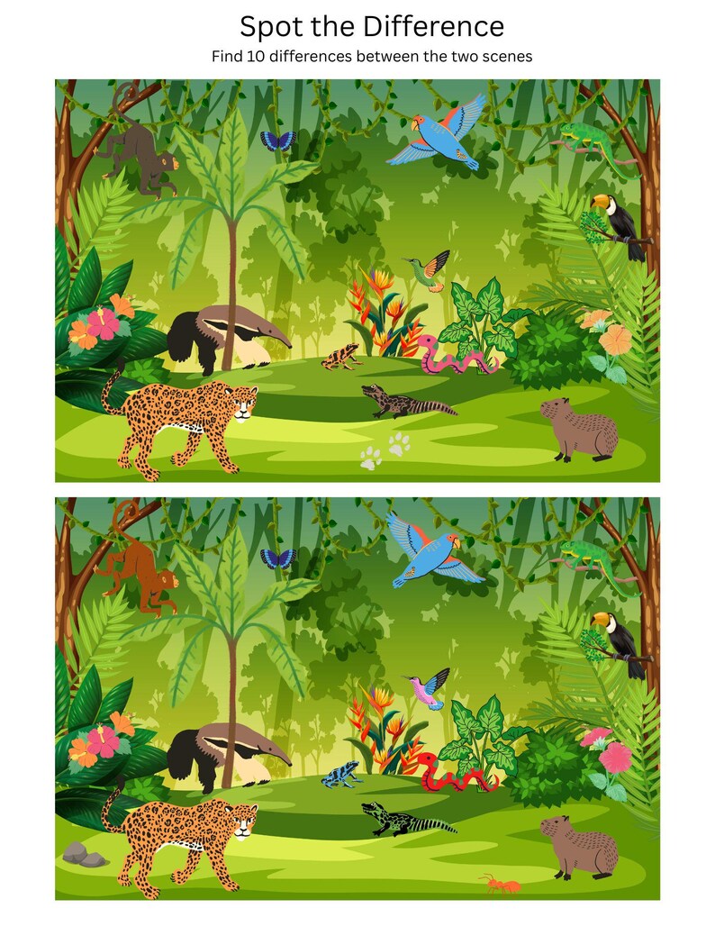 Spot the Difference- Kid's Activity Sheet - Animals, Jungle, Rain ...