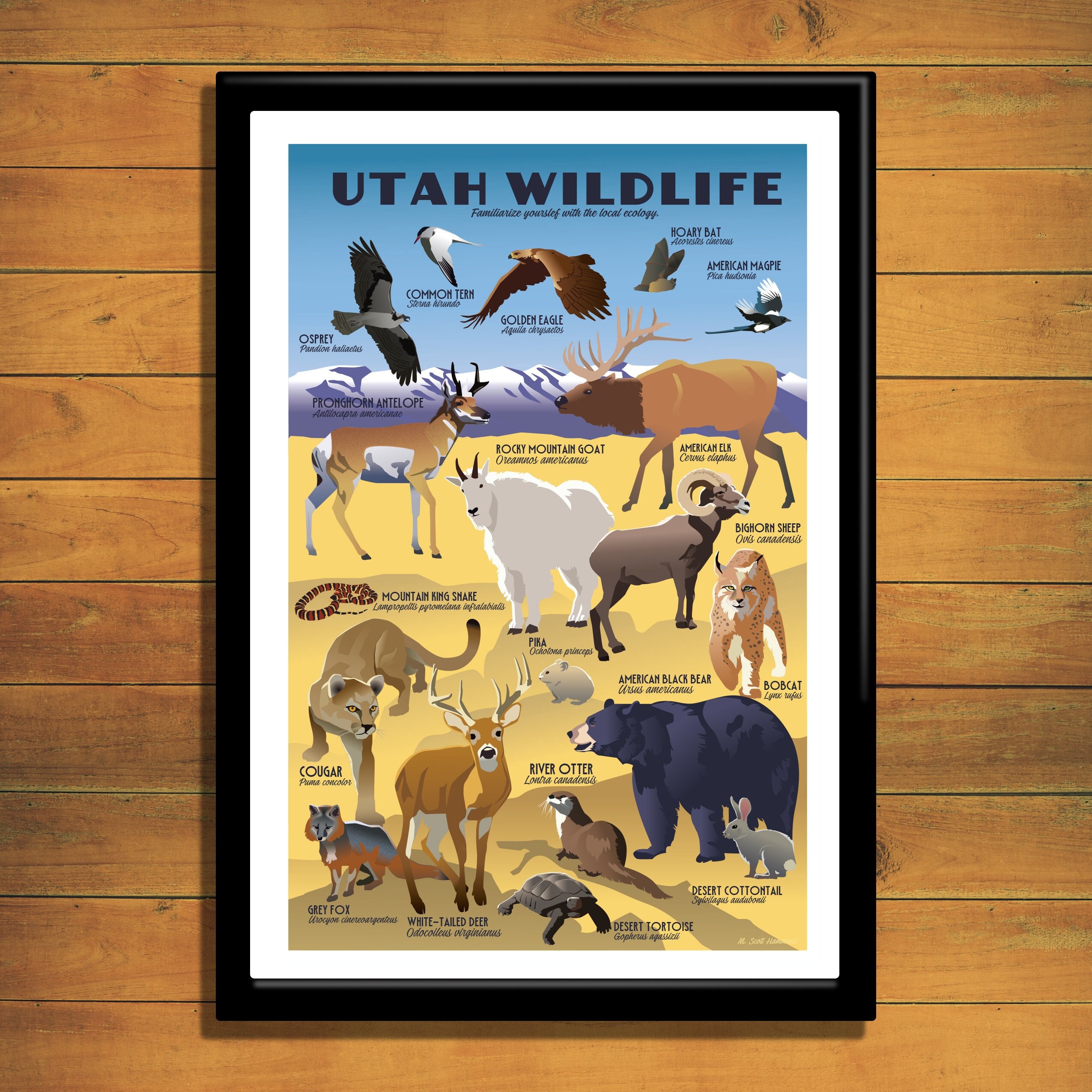 Utah Wildlife Retro Poster, Western Animal Print, Utah Animal Print ...