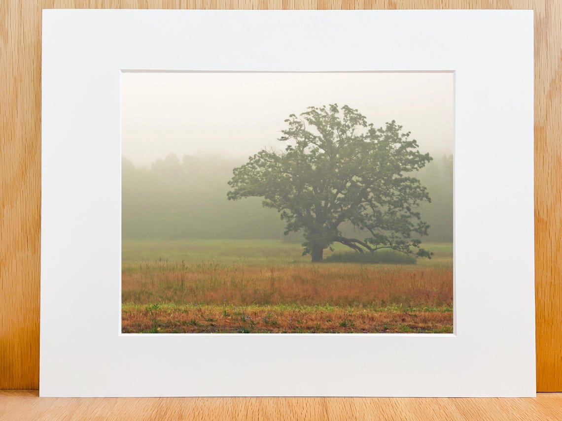 Lone Tree Color Photography Print/ Moody Wall Art - Etsy