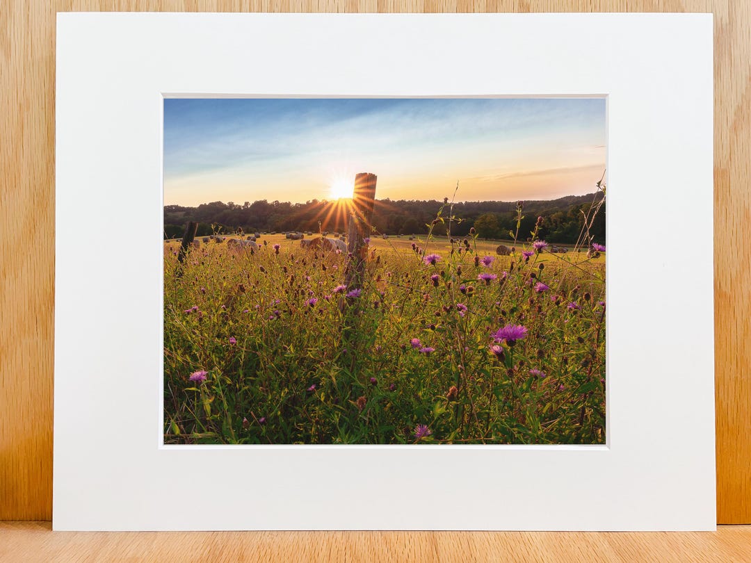 Hudson Valley NY Wildflower Photography Print/ Cornwall NY / Moodna ...