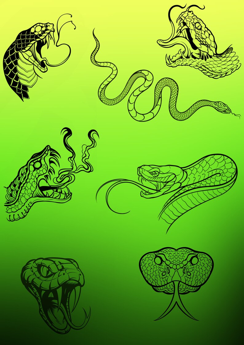 Snake Procreate Stamp Set, Tattoo Design, Snake Serpent Reptile Brush ...