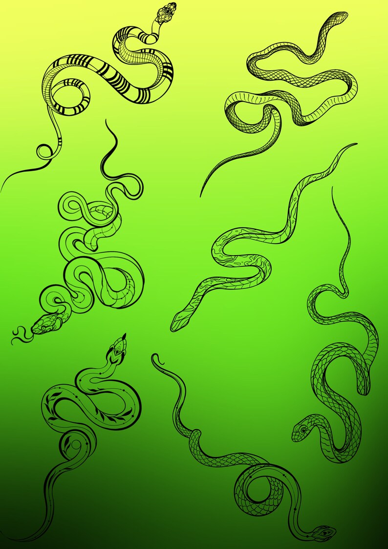 Snake Procreate Stamp Set, Tattoo Design, Snake Serpent Reptile Brush ...