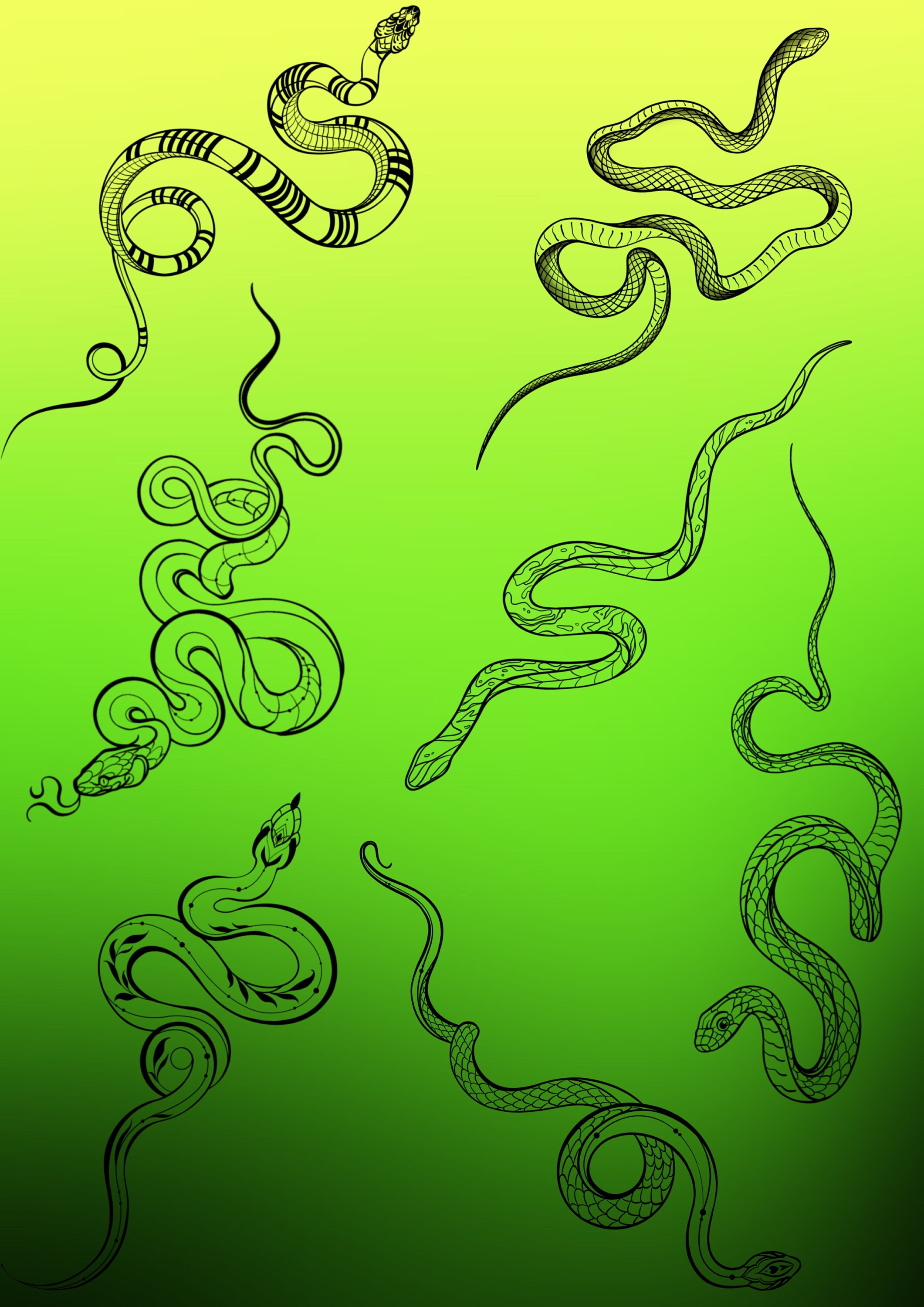 Snake Procreate Stamp Set, Tattoo Design, Snake Serpent Reptile Brush ...