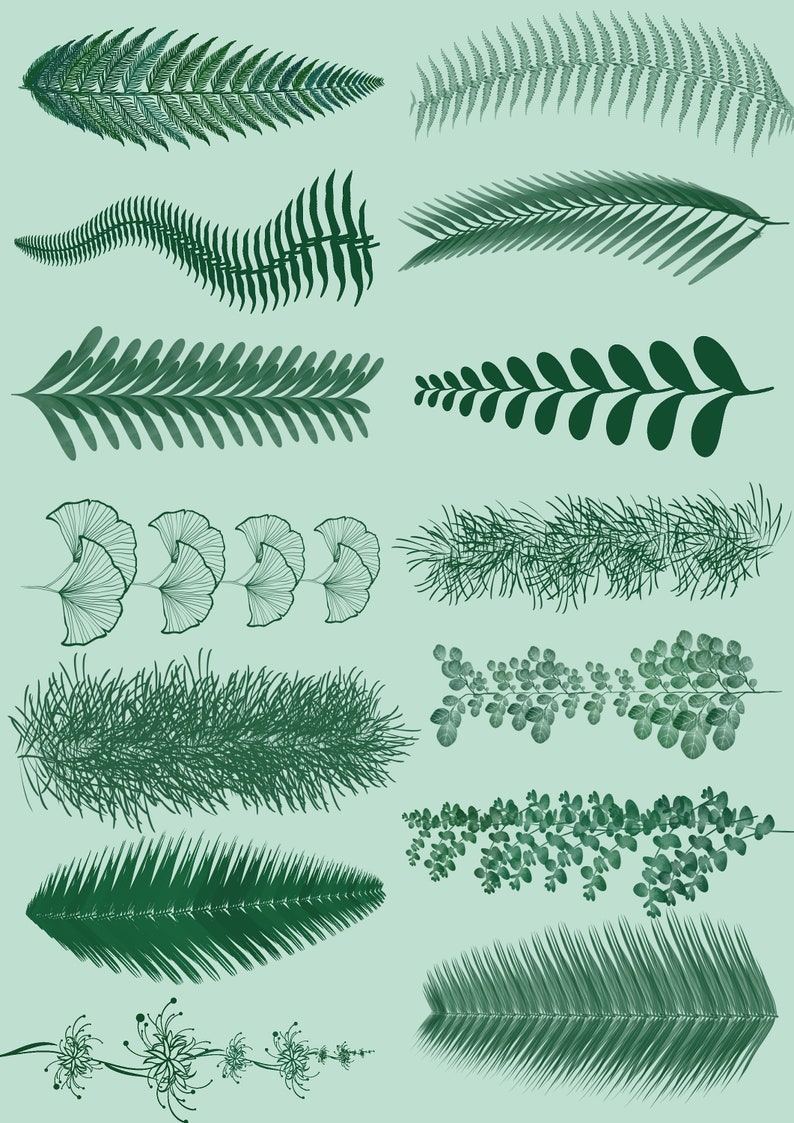 Botanical Procreate Brush, Plant Brushes, Tree Texture Brushes, Tattoo ...